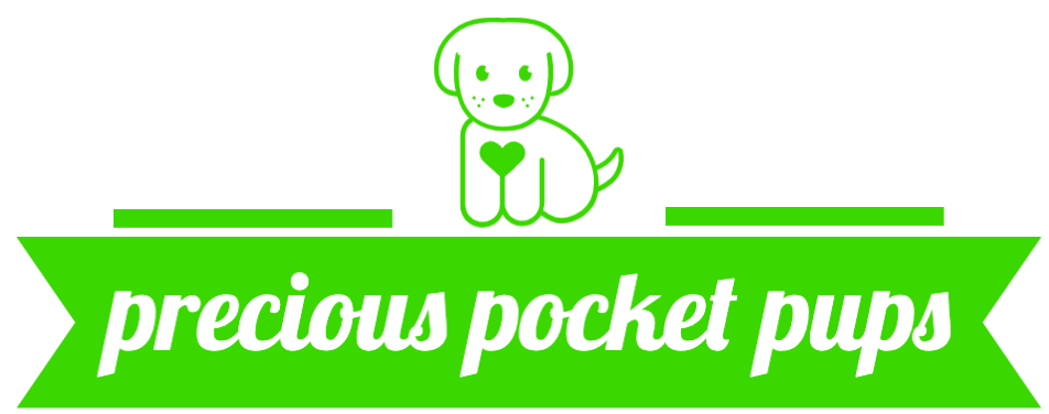 Available Puppies - Precious Pocket Pups